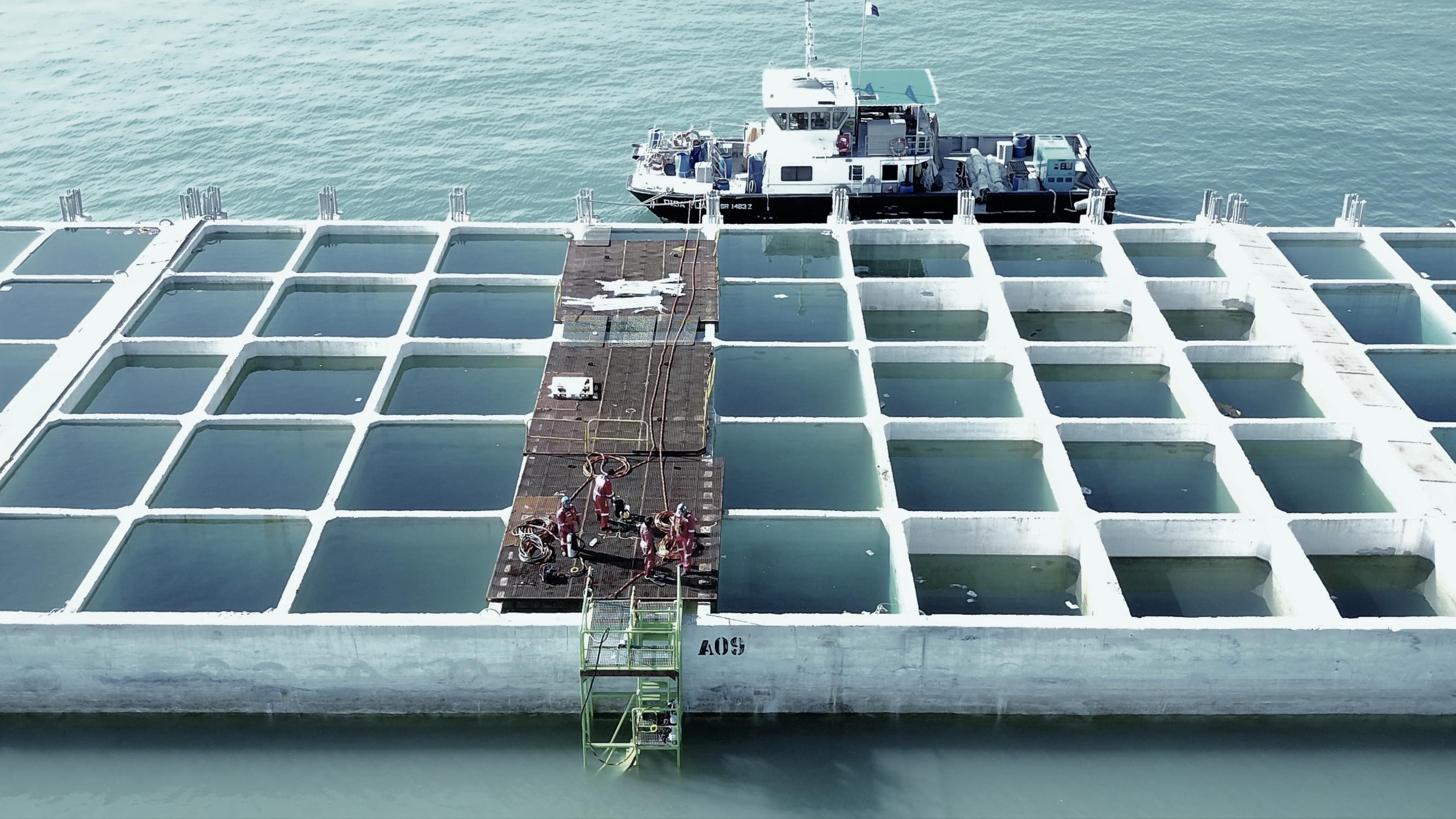 TTP1 - Finger pier II