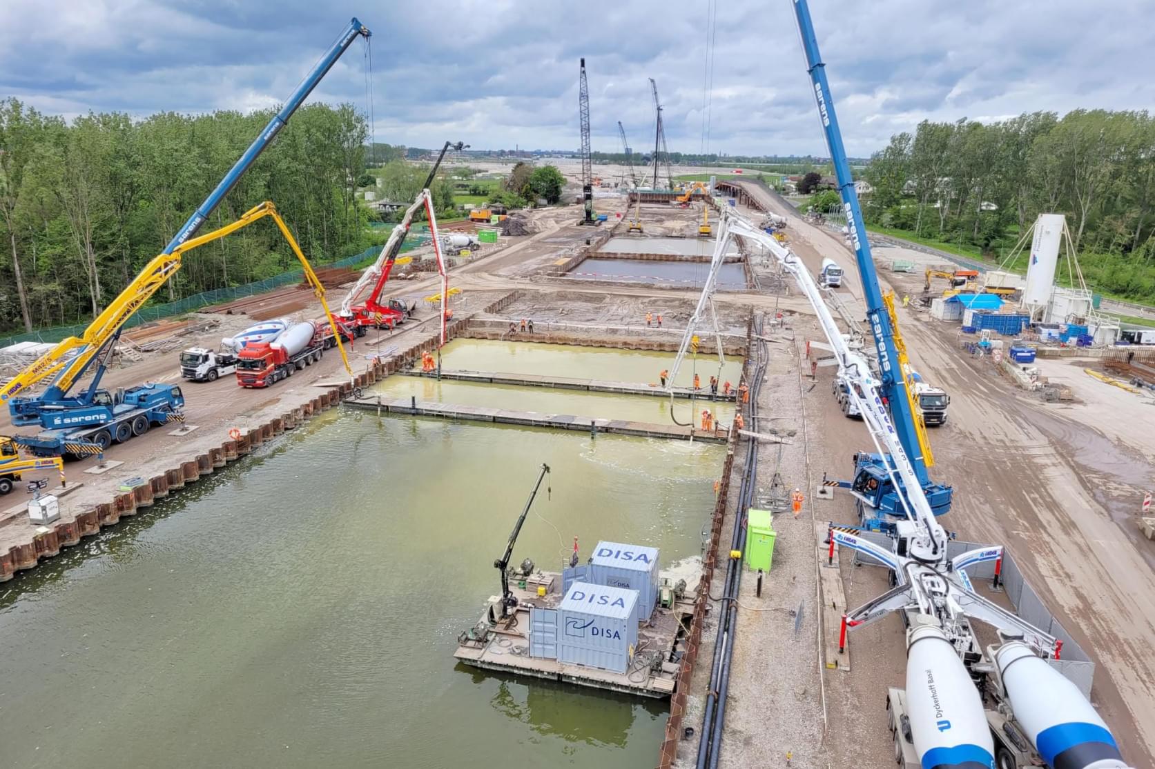 GROENE BOOG 1st LARGE POORS